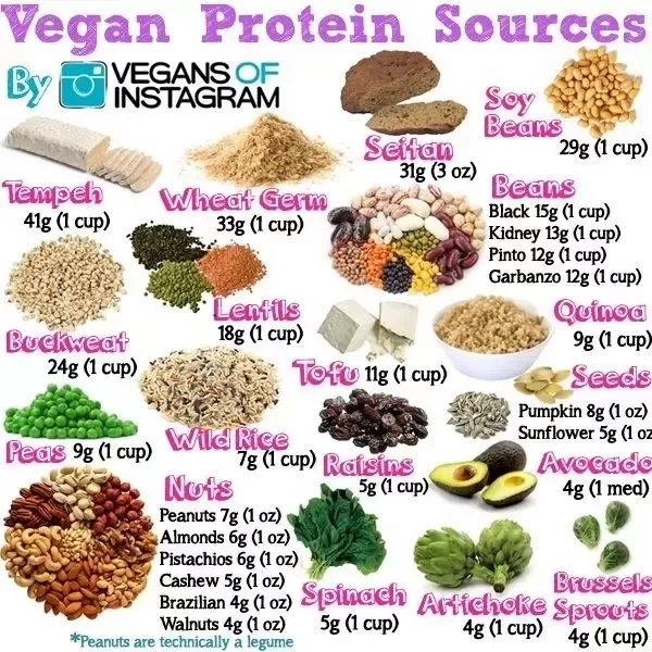 How can Vegans eat 100 grams of protein a day?