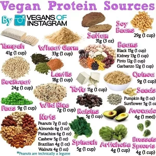 How can vegetarians get 200 grams of protein per day?