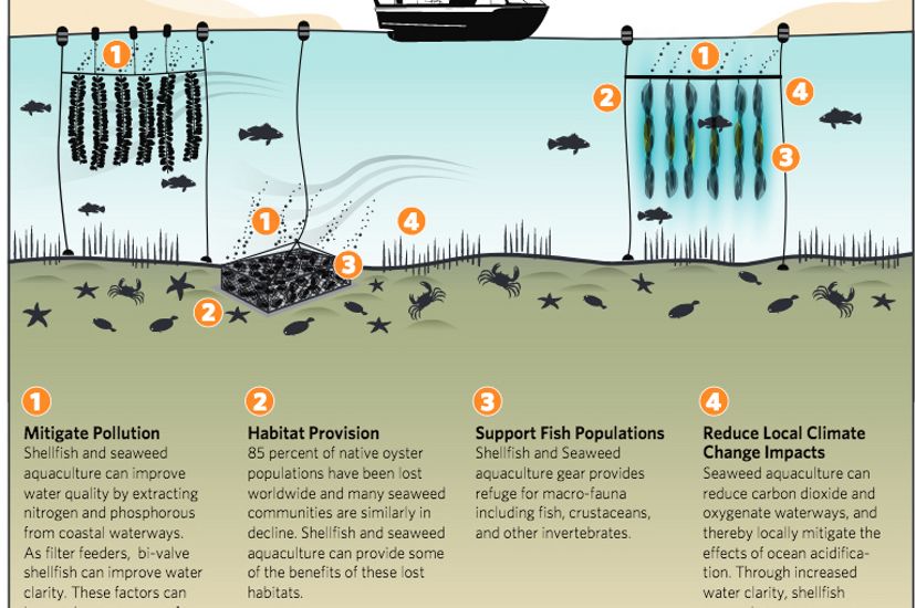 How can we make aquaculture more sustainable?