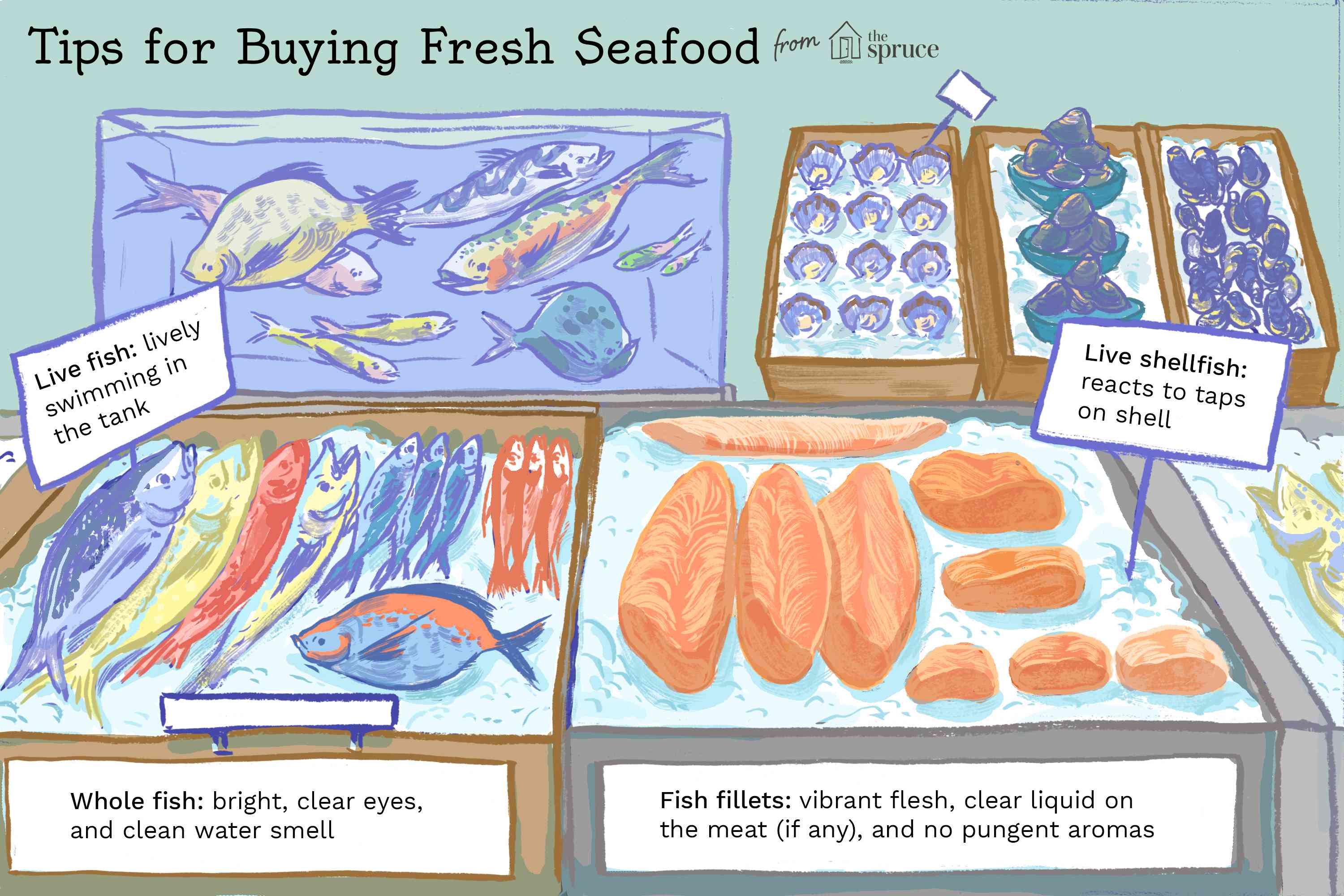 How can you identify the good qualities and freshness of fish and shellfish?