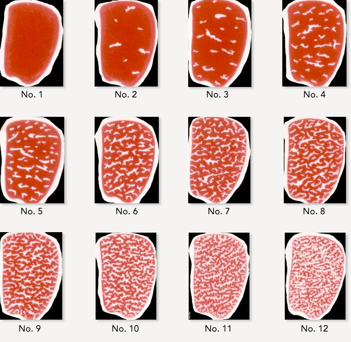 How can you tell if a filet mignon is good quality?