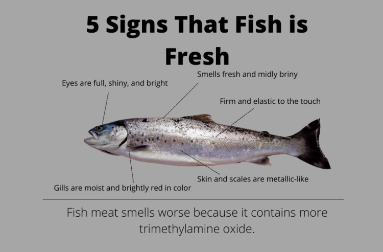 How can you tell if a fish is fresh or stale?