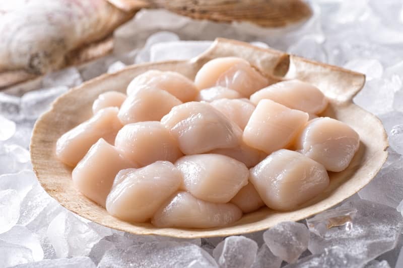 How can you tell if a scallop is real?