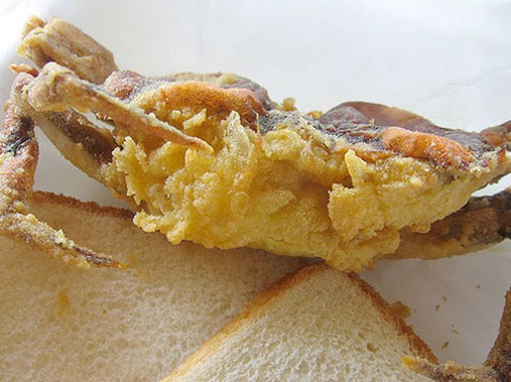 How can you tell if a soft shell crab is bad?