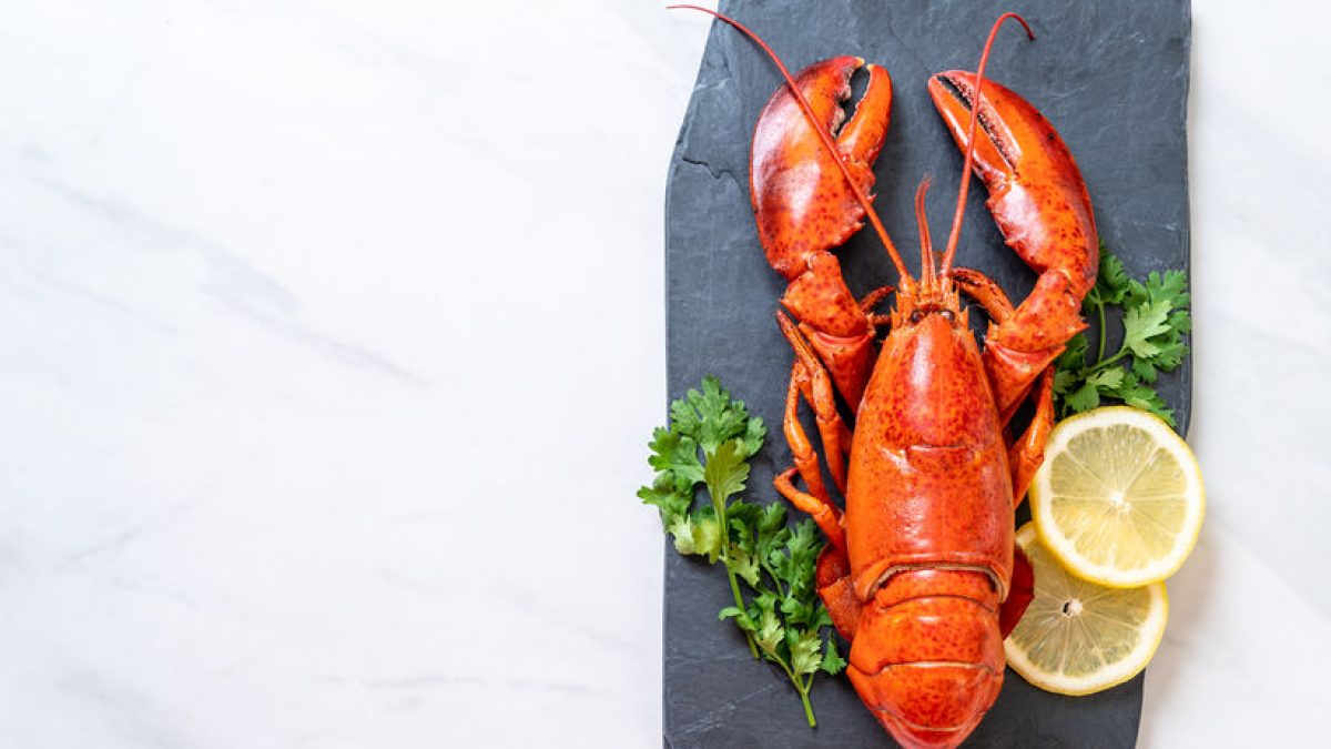 How can you tell if lobster is bad?