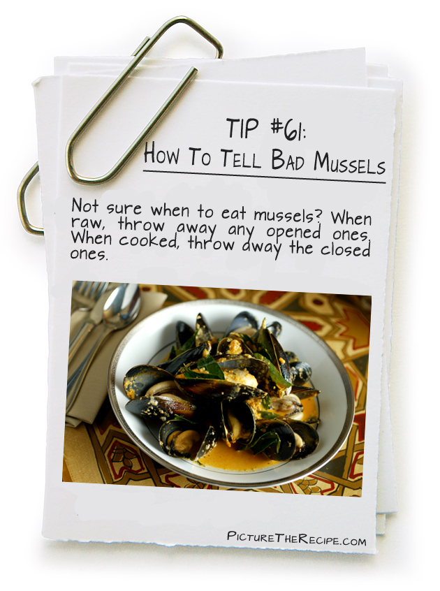 How can you tell if mussels are safe to eat?