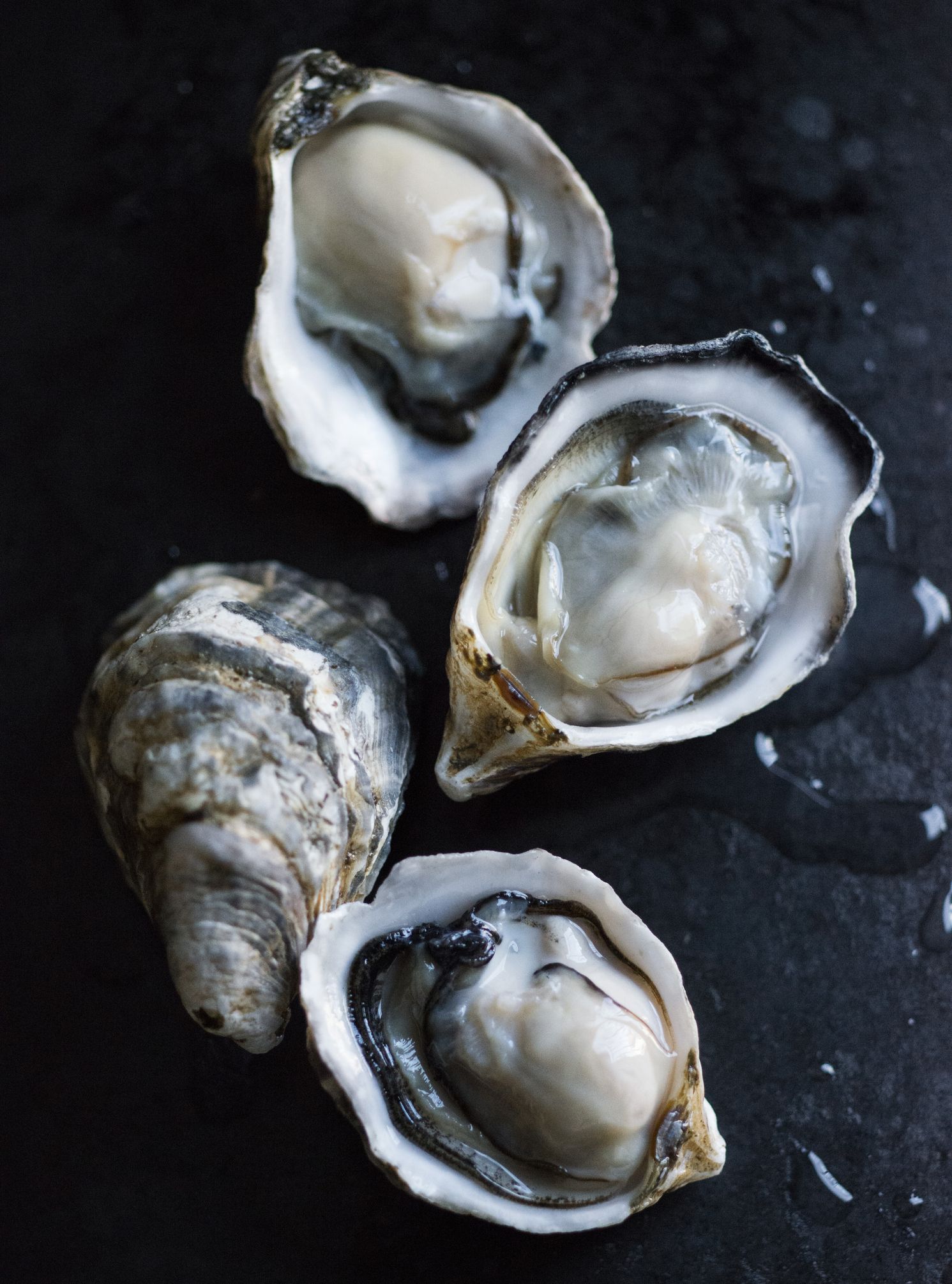 How can you tell if oysters are alive?