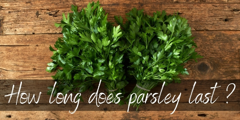 How can you tell if parsley is fresh?