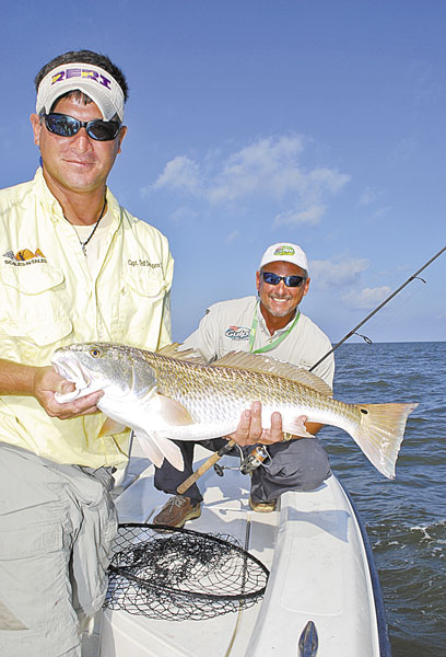 How can you tell the age of a redfish?