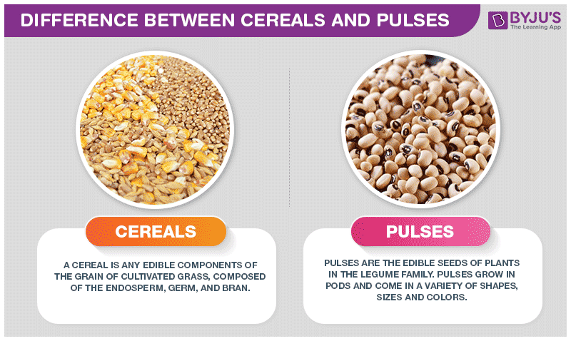 How can you tell the difference between cereals and pulses?