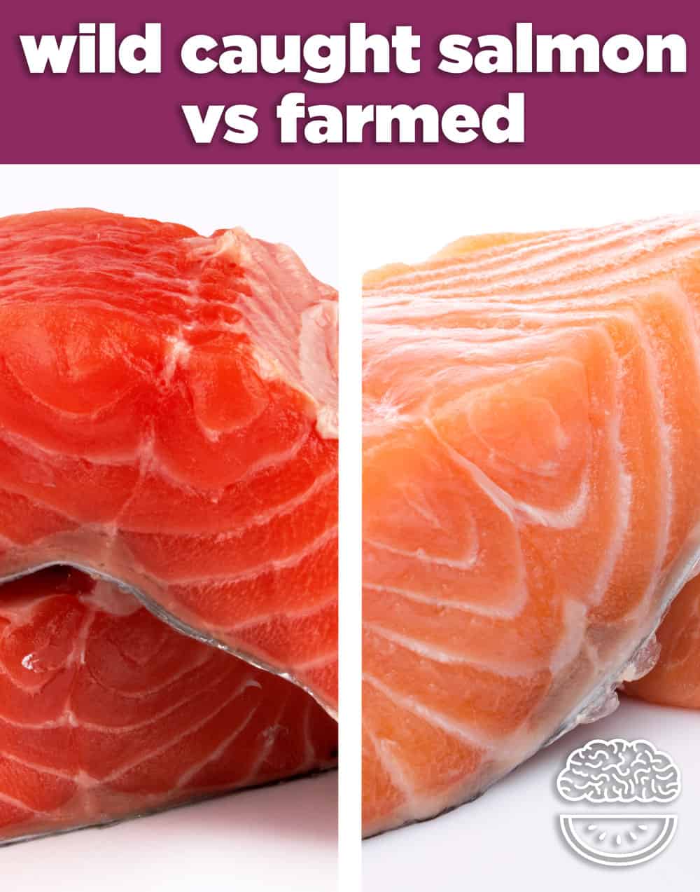 How can you tell the difference between farmed and wild salmon?