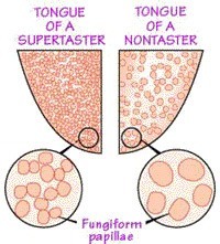 How common are super tasters?