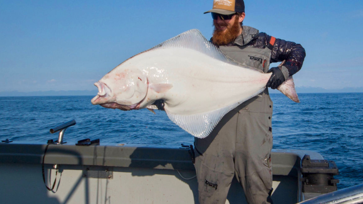 How deep can you catch halibut in Alaska?