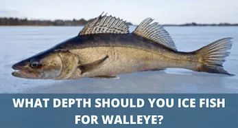 How deep should you fish for walleye in the winter?