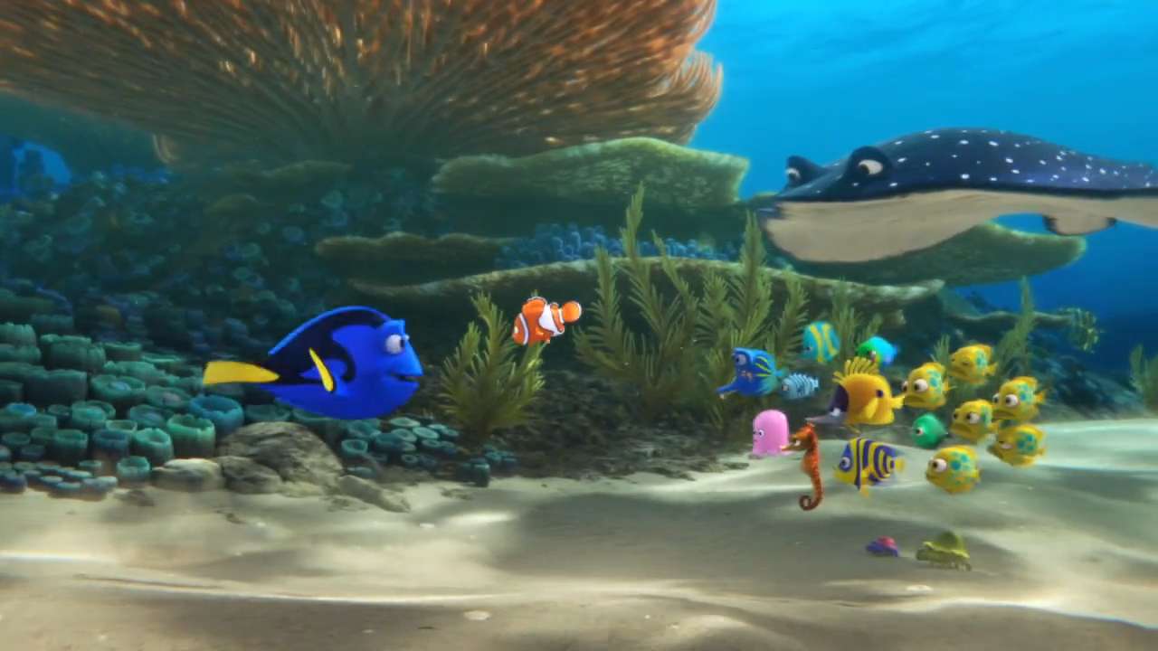 How did Dory end up in the ocean?
