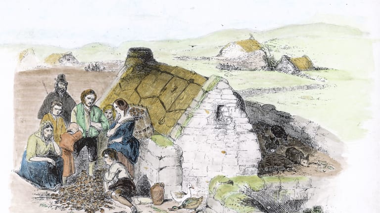 How did England affect the Irish potato famine?