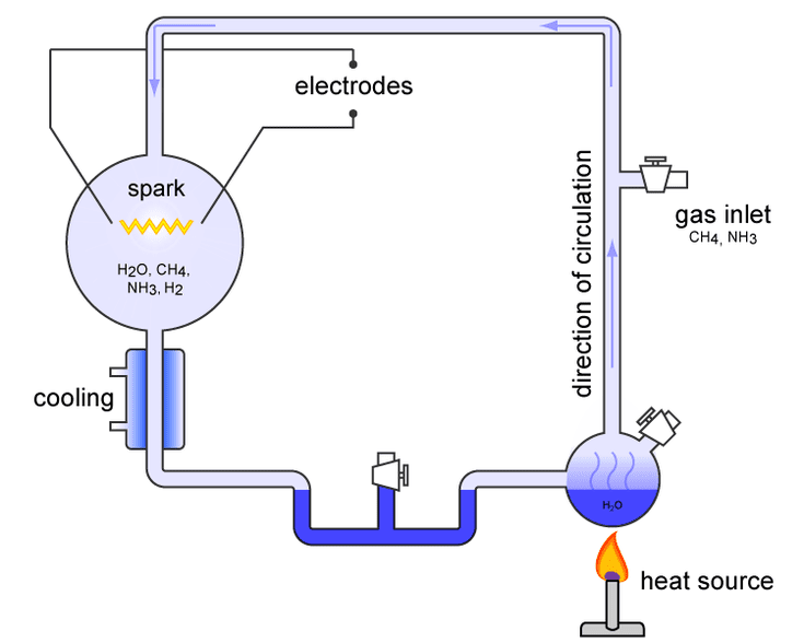 How did life start in primordial soup?