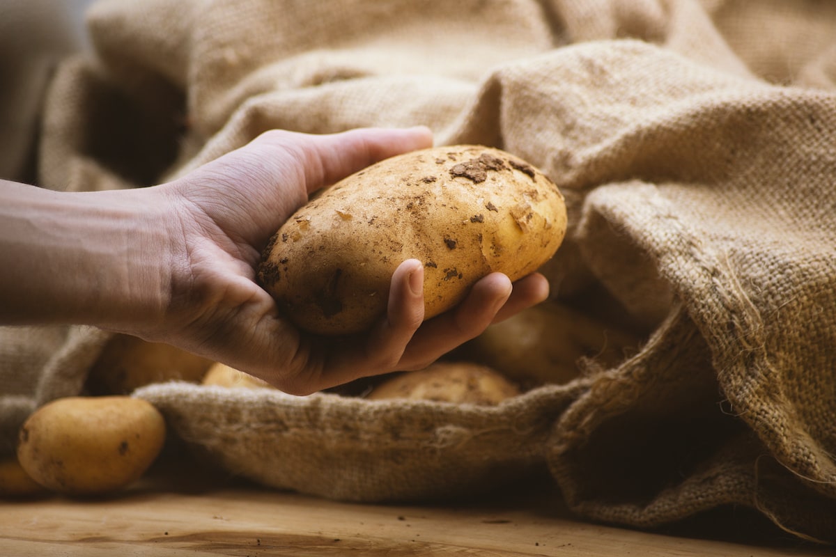 How did potatoes become popular in France?