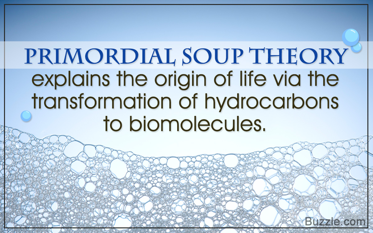 How did the primordial soup form according to the theory?