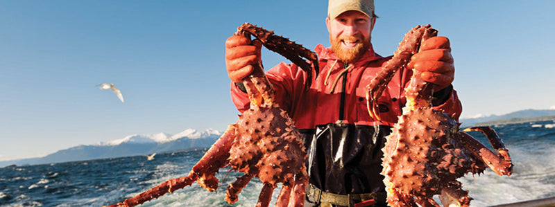 How do Alaskan king crabs defend themselves?