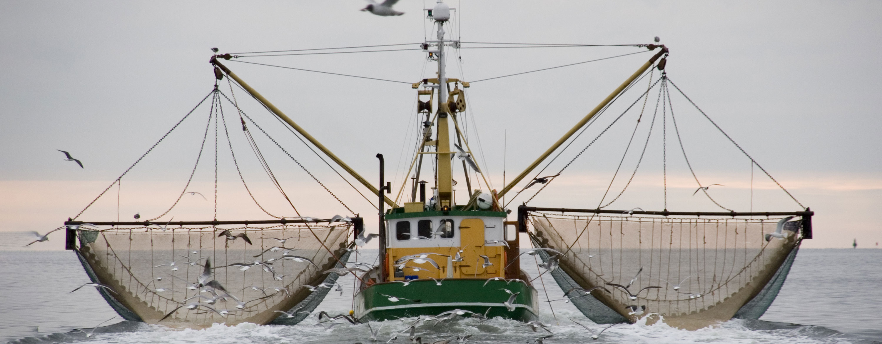 How do commercial fishing boats keep fish fresh?