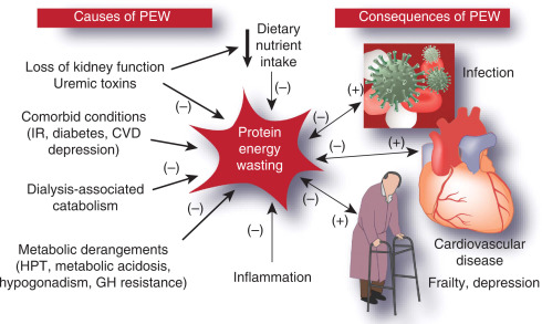 How do dialysis patients increase protein?
