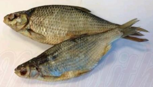 How do fish get botulism?