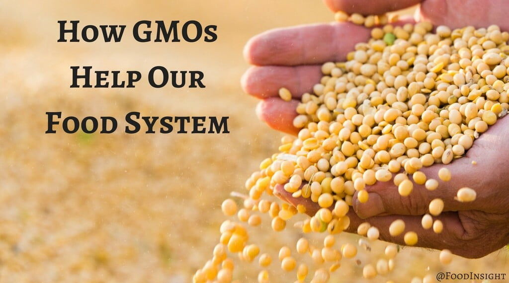 How do GMOs get into our food?