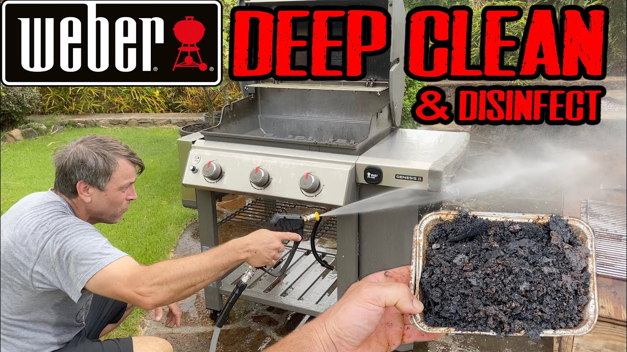 How do I clean and disinfect my grill?