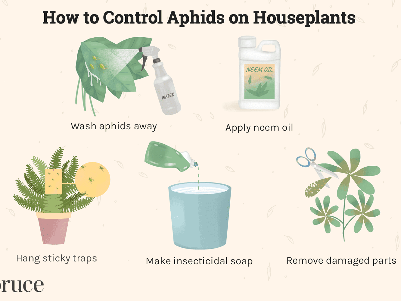 How do I get rid of aphids on my herbs?