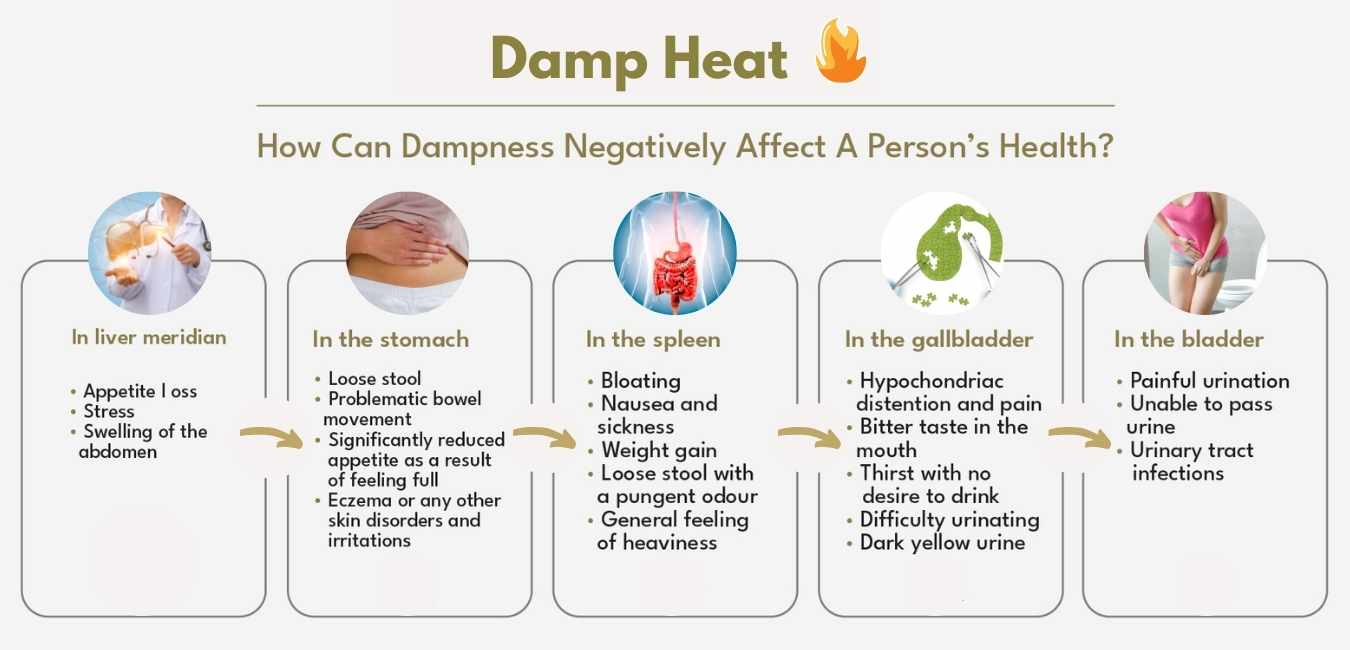 How do I get rid of damp heat in my body?