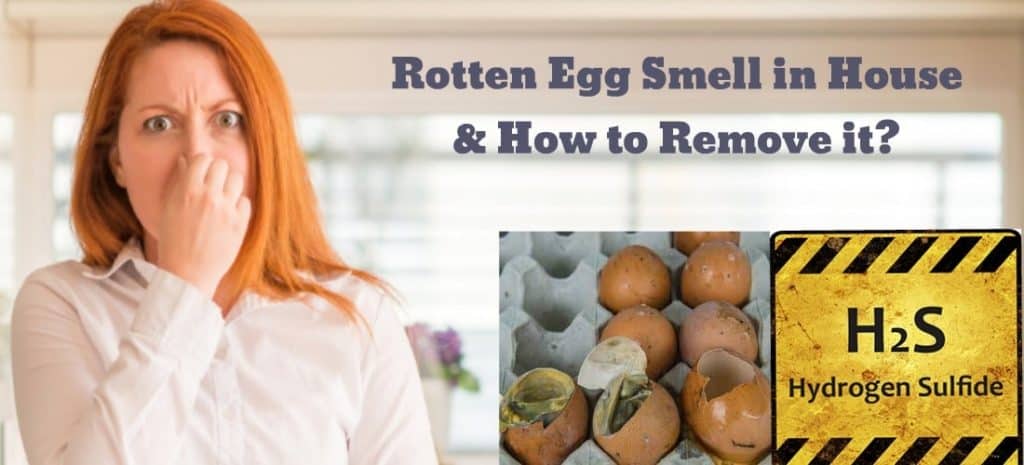 How do I get rid of egg smell in my house?