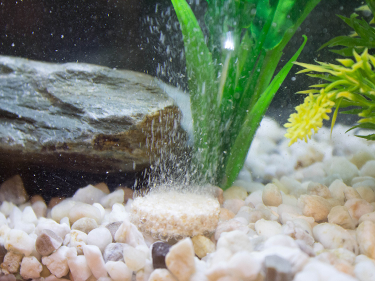 How do I get the gunk off the bottom of my fish tank?