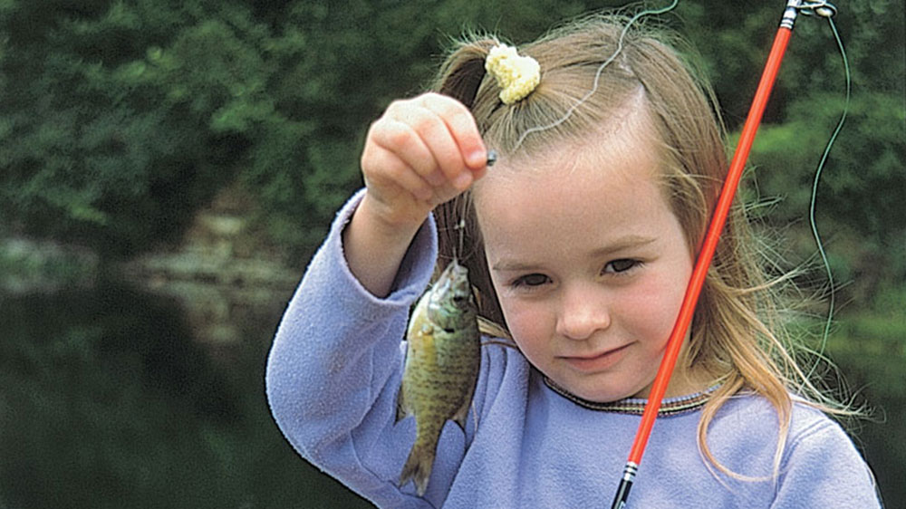 How do I introduce my toddler to fish?
