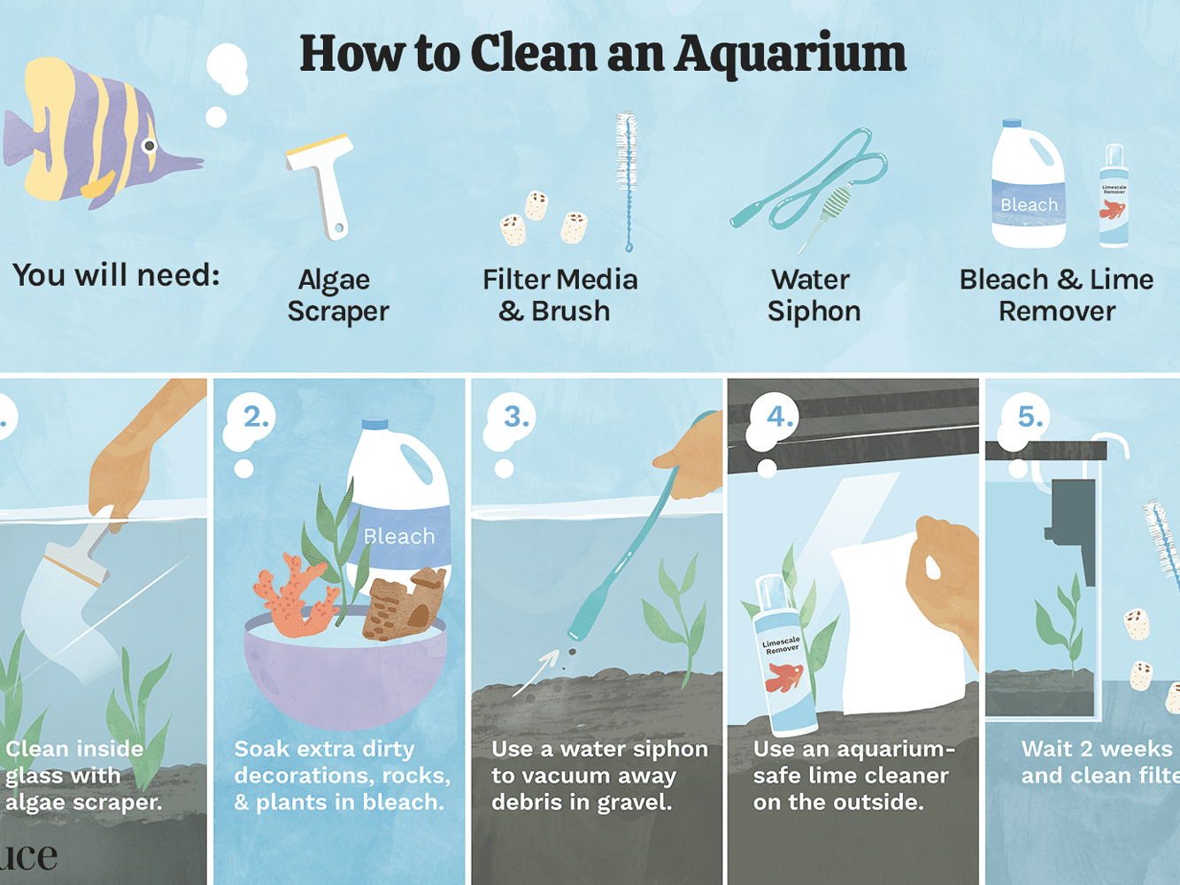 How do I Keep my Aquarium clean and healthy?
