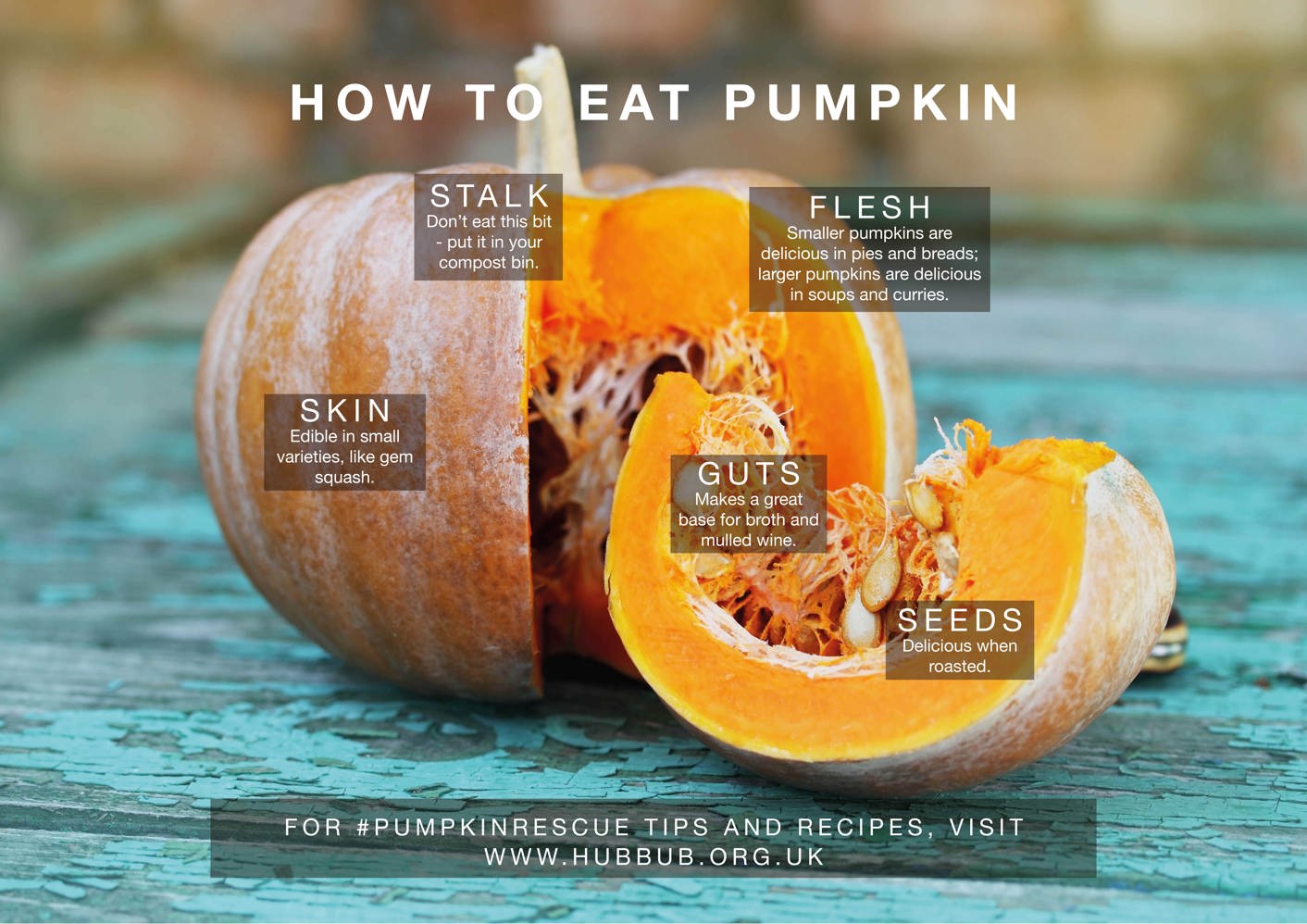 How do I know if my pumpkin is edible?