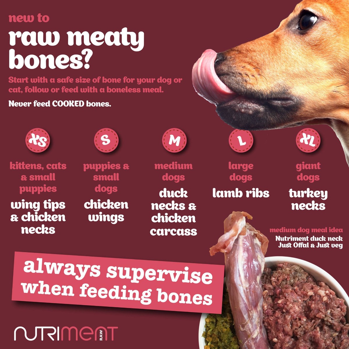How do I prepare a raw bone for my dog?