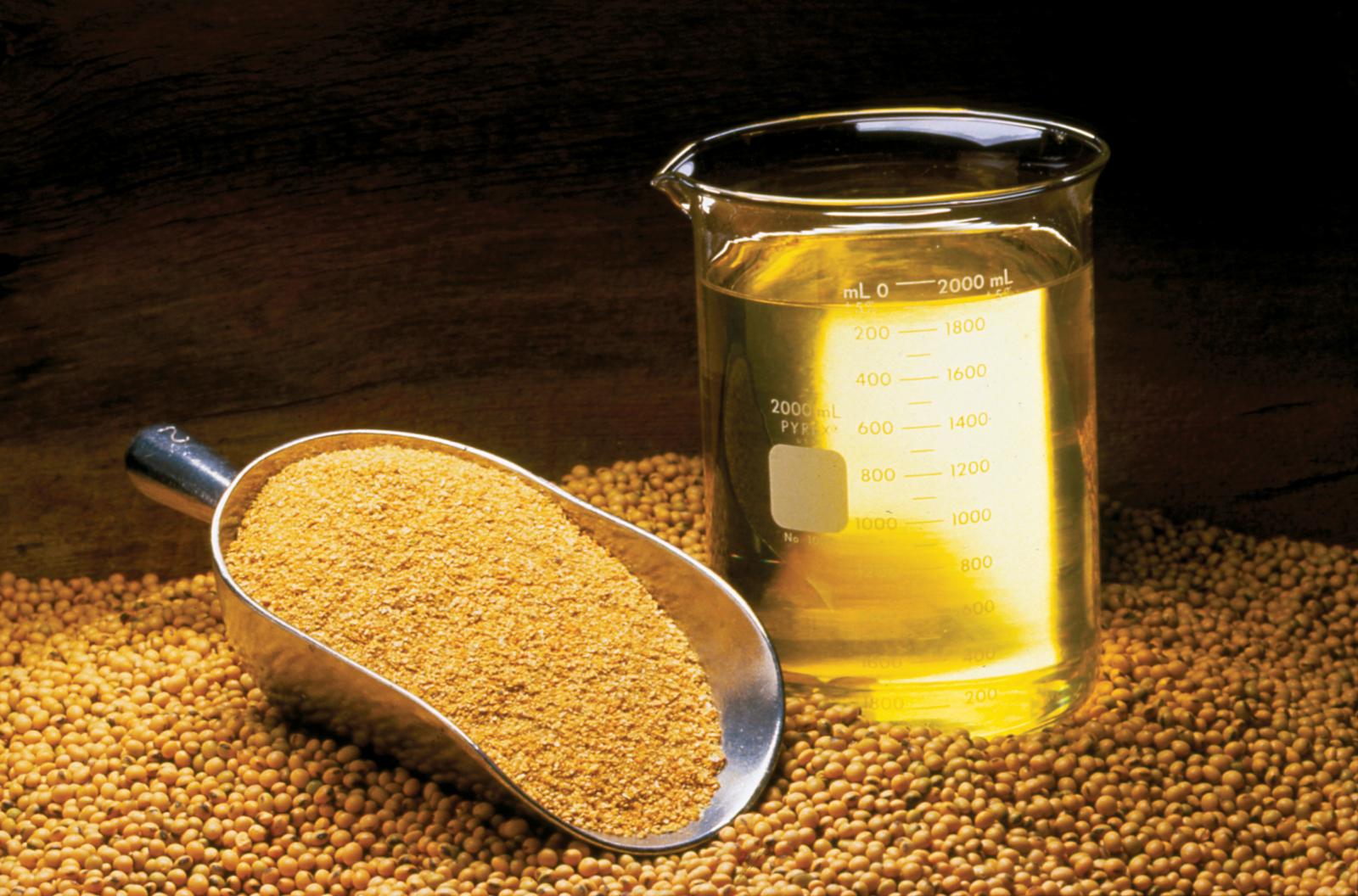 How do I prepare soybeans for animal feed?