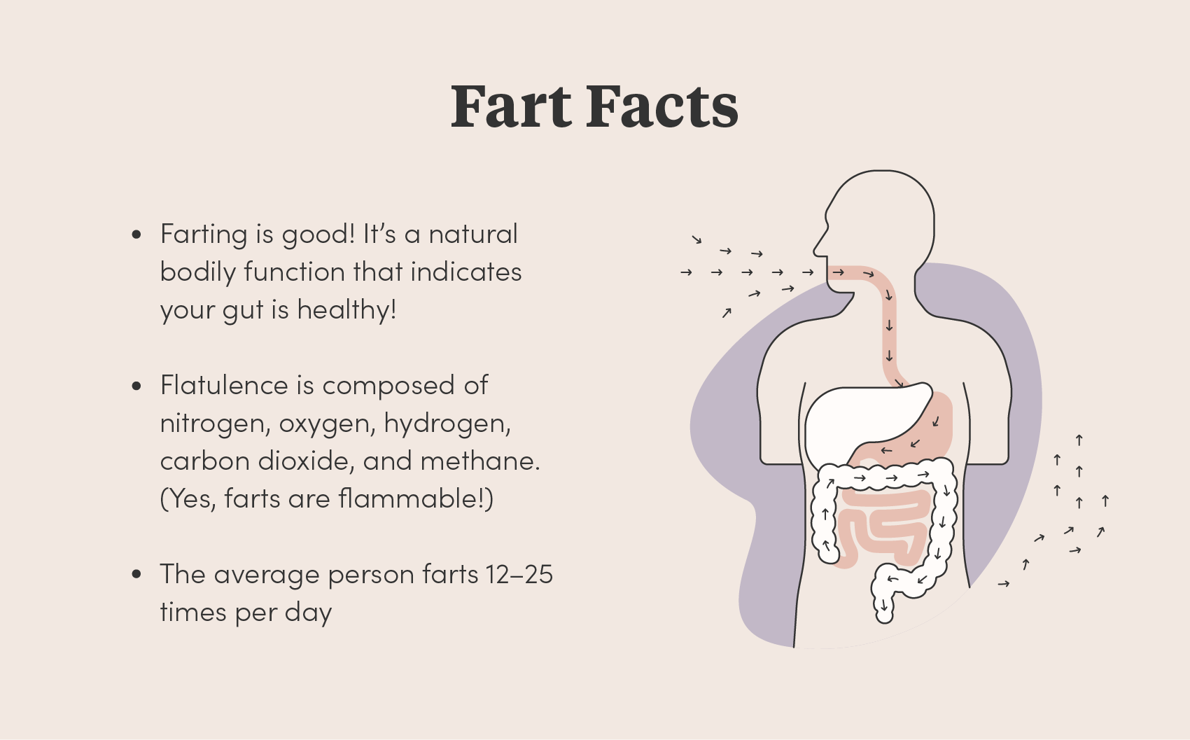 How do I stop constipation and farting?