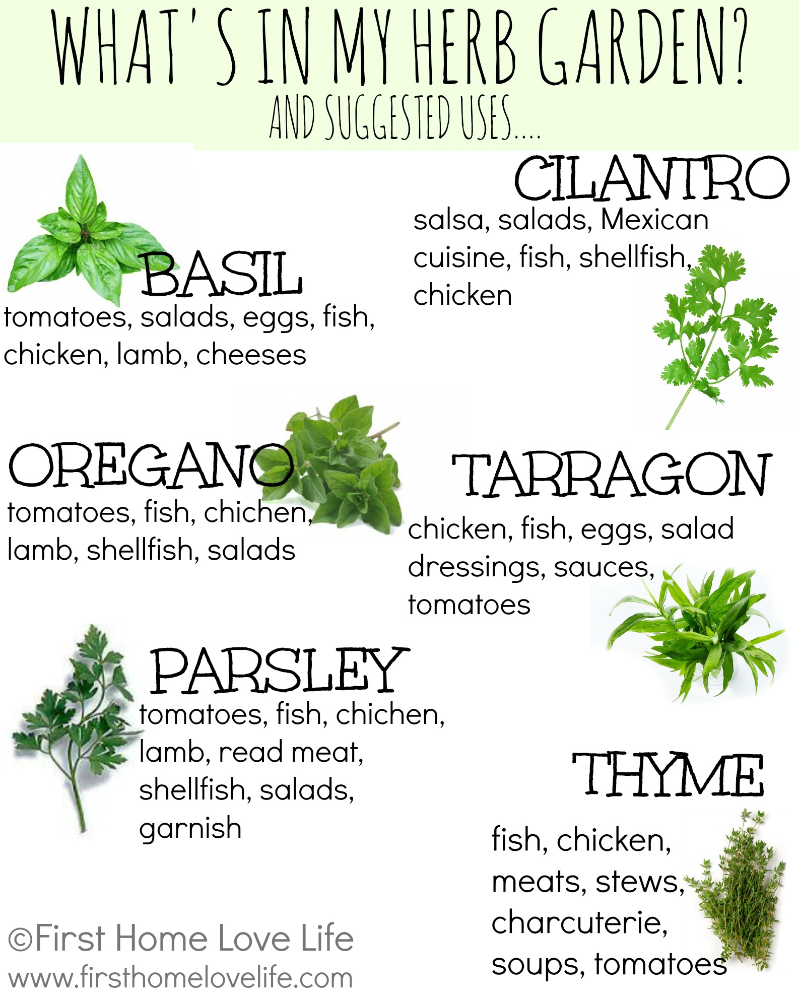 How do I use herbs from my garden?