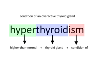 How do medical prefixes go together?