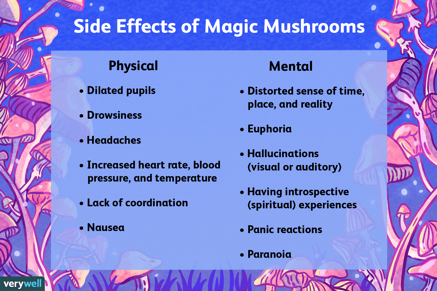 How do medicinal mushrooms make you feel?