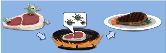 How do pathogens get into cooked meat?