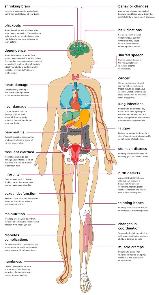 How do sugar alcohols affect the body?