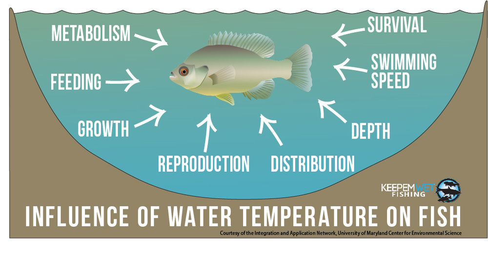 How do temperature problems impact fish?