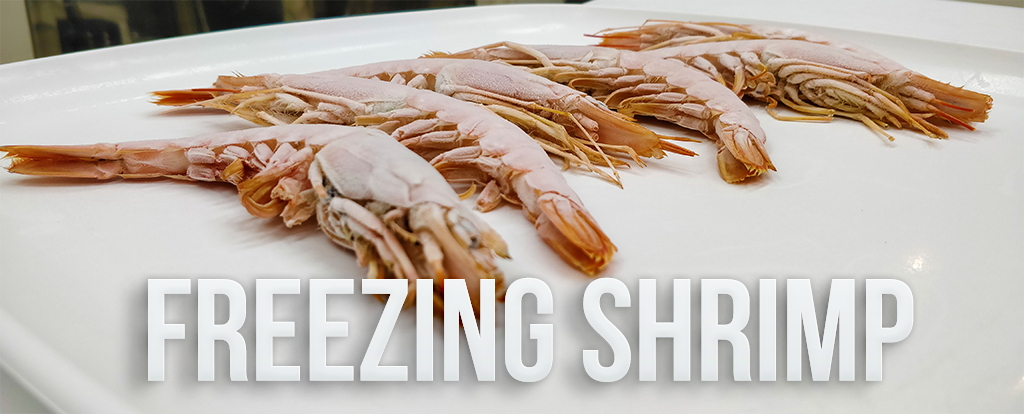 How do they flash freeze shrimp?