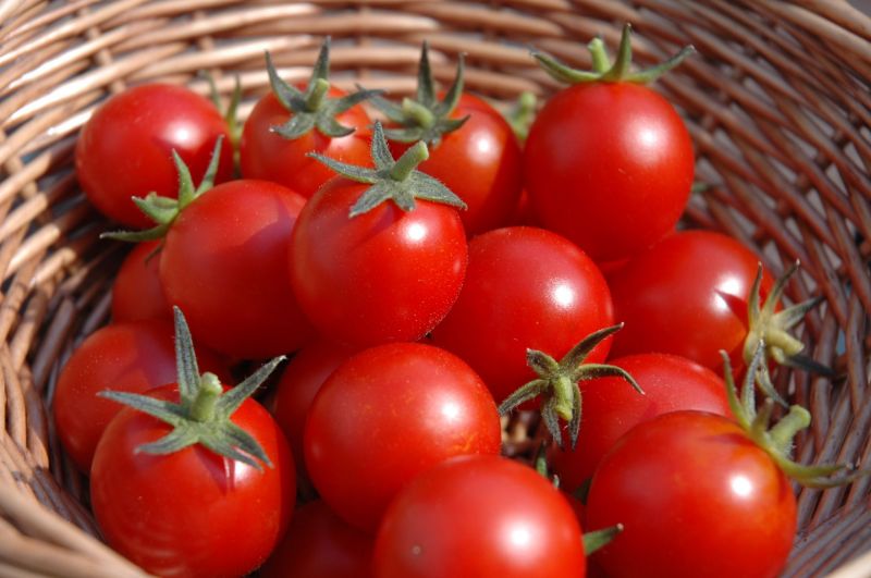 How do tomatoes help the immune system?