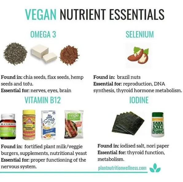 How do vegans get enough B vitamins?