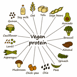 How do vegans get their protein?