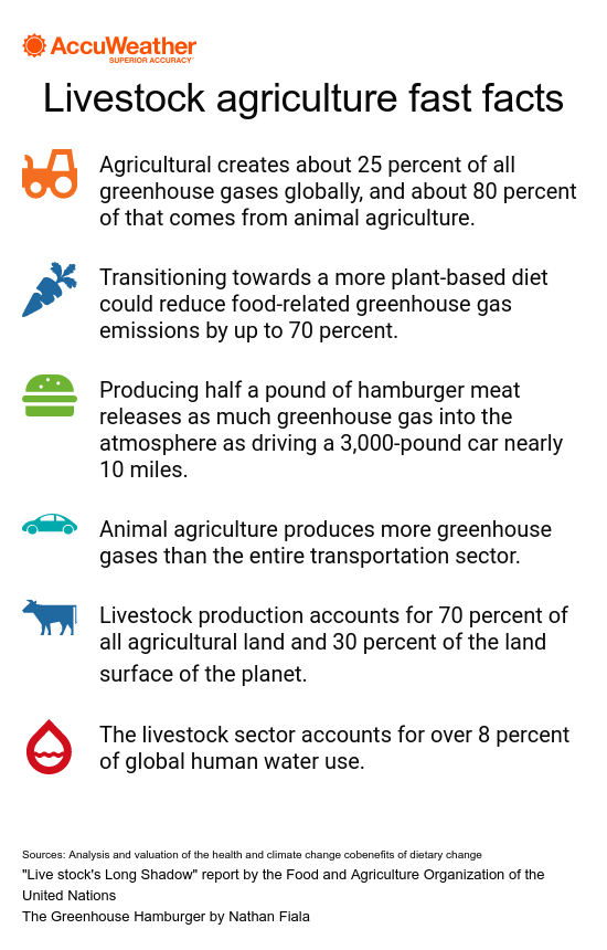 How do vegans reduce gas?